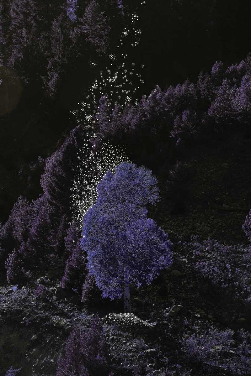 Avani Rai-Dot Series IV, V, VI – The Curators Art