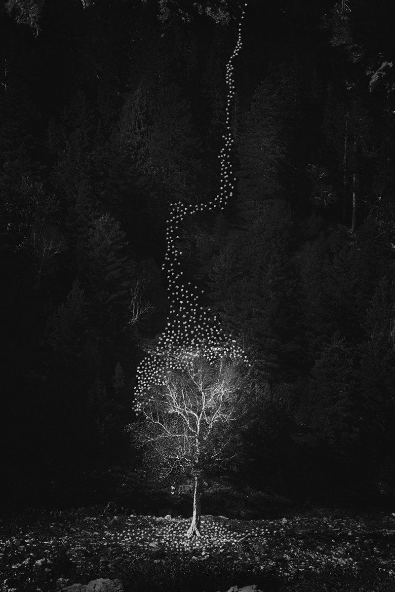 Avani Rai-Dot Series IV, V, VI – The Curators Art